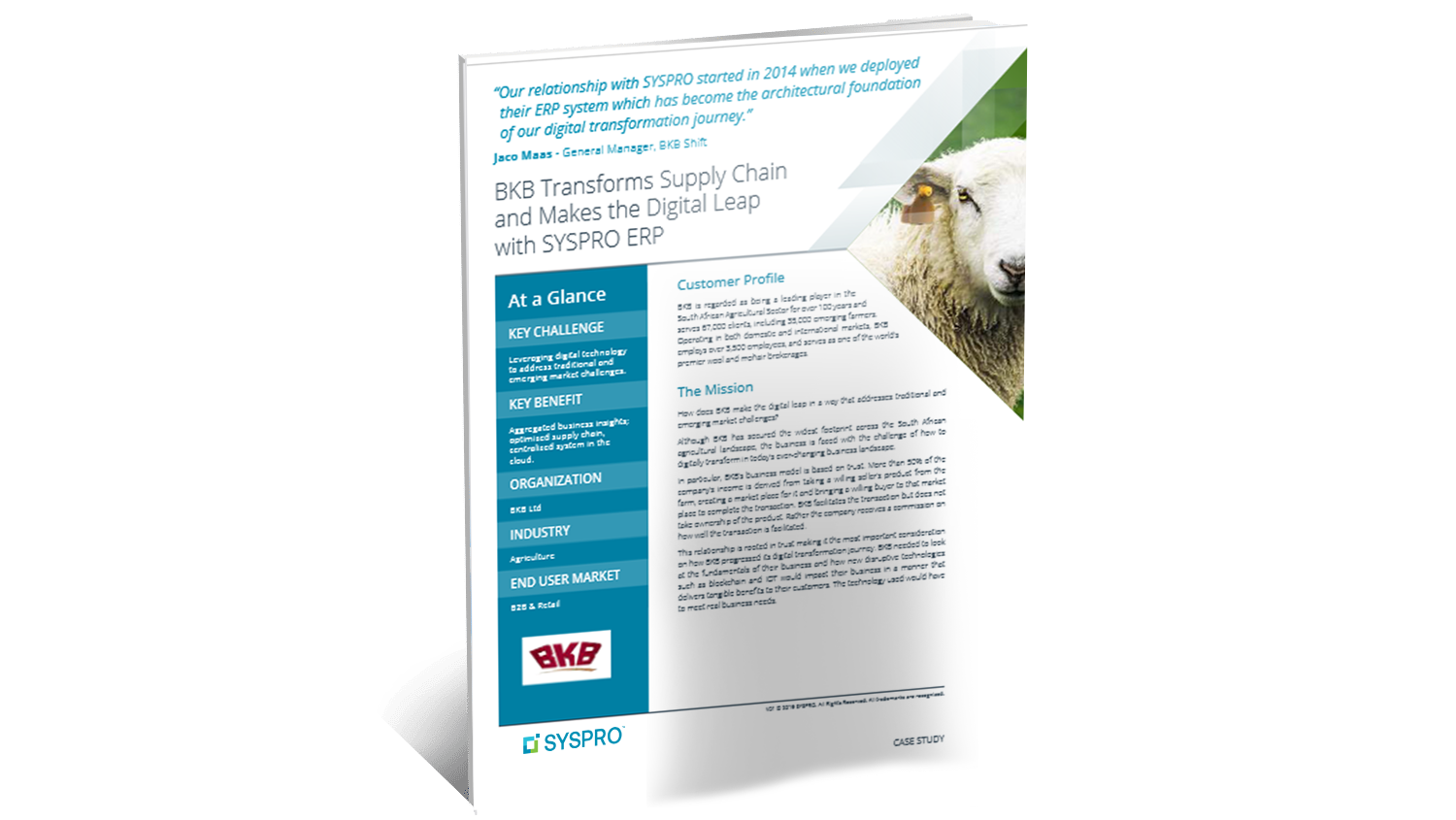 BKB - SYSPRO Europe